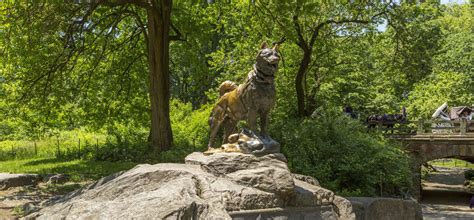 From Alaska To Central Park Balto The… Central Park Conservancy