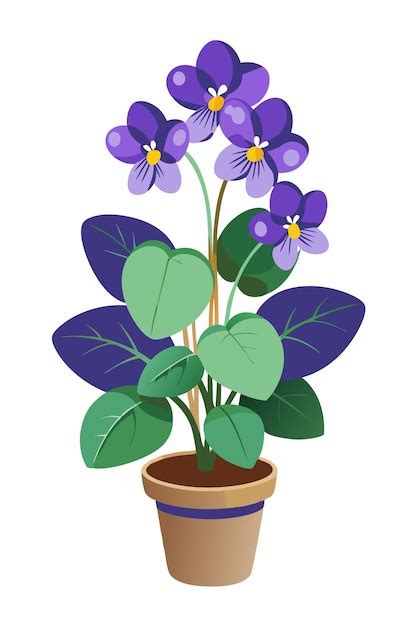 African Violet Flower Images Free Download On Freepik