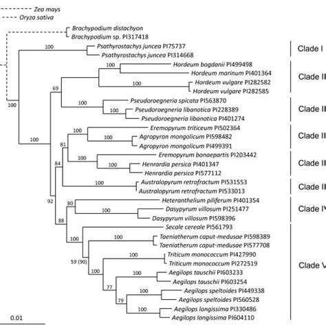 Best Fitting Model Of Sequence Evolution For Each Locus Download Table