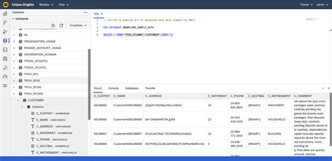 Eclipse Dirigible™ 900