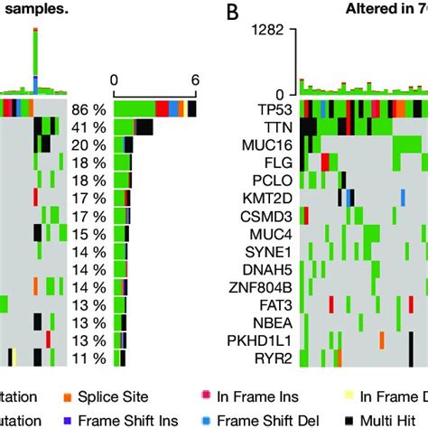 waterfall plot shows the mutation distribution of the top 15 most