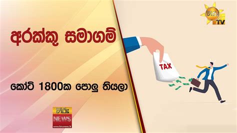 අරක්කු සමාගම් කෝටි 1800ක පොලු තියලා Hiru News Youtube