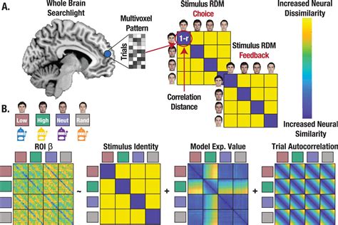 Figures And Data In Prefrontal Cortex State Representations Shape Human