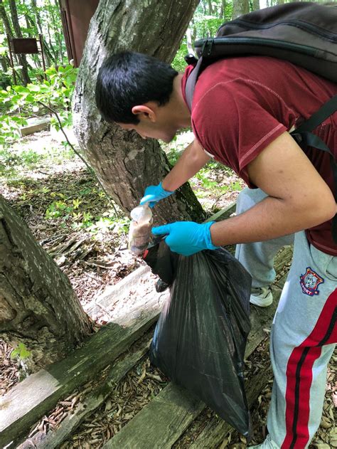 გიმნაზია ქარელის წმინდა გიორგი მთაწმინდელის სახელობის გიმნაზია Kareli
