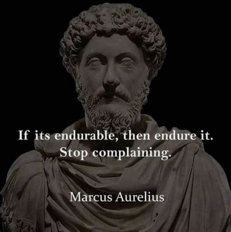 Brain Of Albert Einstein Whats So Special About Albert Einsteins