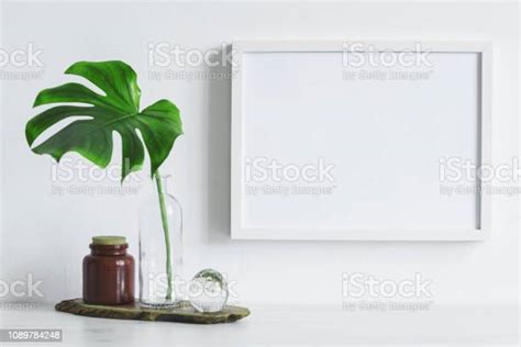 최소한의 녹색 열 대와 사진 프레임을 모의 구성 Leafs 유리 디자인 꽃병에 갈색 병 이랑 프레임의 세련 된 개념입니다 흰색 배경 벽입니다 실내에 대한 스톡 사진 및 기타