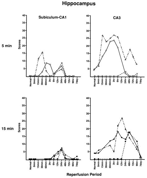 Induction Of C Fos And C Jun Gene Products And Heat Shock Protein After