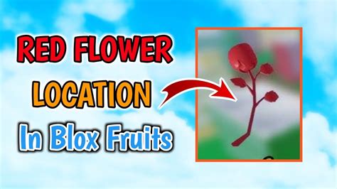 Where Is The Red Flower Spawn In Blox Fruits All Red Flower Spawn