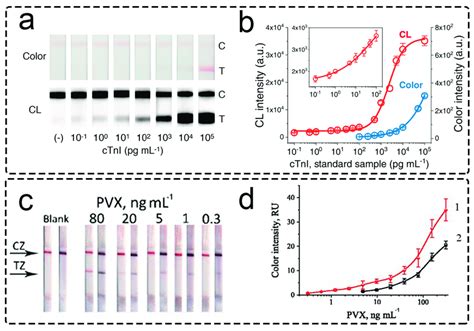 Enzyme Assisted Signal Amplification In Lfia A Test Strips With Download Scientific Diagram