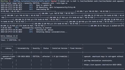 Include Os Release And Package Metadata In Docker Images When Using From Scratch Duffney Io