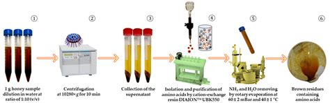 A Schematic Representation Of The Sample Preparation Steps Undertaken Download Scientific