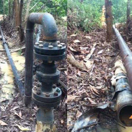 Results Of Macroetching Showing The Absence Of ERW Download Scientific Diagram