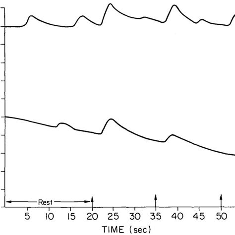 Pdf Emotion And Attention Predicting Electrodermal Activity Through Video Visual Descriptors