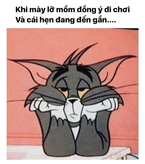 Tom Jerry Meme Si U Cute B Nh Ch H I H C Nh T
