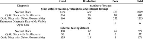 summary of training validation internal testing and external testing