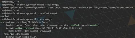 How To Install Fast Api With Mongodb On Ubuntu 24 04