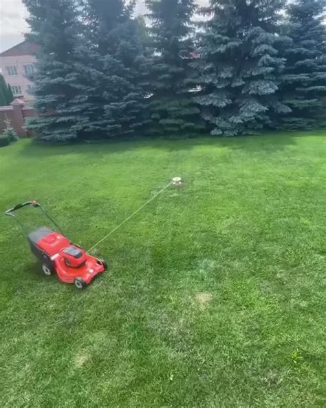 david carrero fernández baillo posted on linkedin