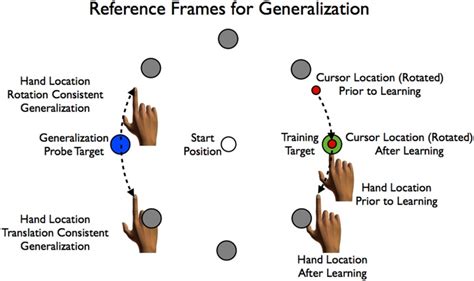 Possible Patterns Of Generalization A 30° Rotation On The Cursor Red