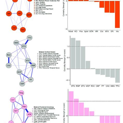 Single Layer Partial Correlation Networks Top Network Visualization Download Scientific