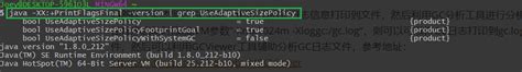 10秒学会springboot Jar包启动及jvm参数设置spring Boot替换符 Jvm参数 Csdn博客