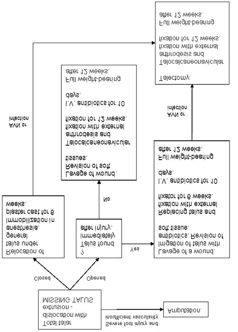 Proposal Of Treatment Algorithm For Total Talar Dislocation With Download Scientific Diagram