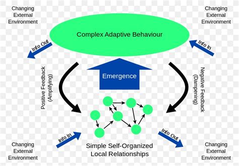 Complex Adaptive System Complex System Complexity Png 800x571px