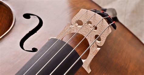 Strings Does A Cello Have At Peggy Bradley Blog