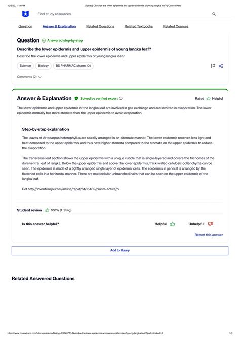 solution solved describe the lower epidermis and upper epidermis of
