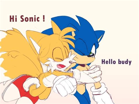 Sonic And Tails Have The Best Brotherly Bond Artist Anouckyshim R
