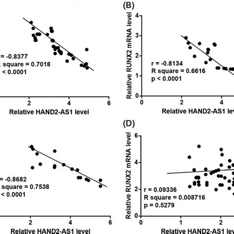 Runt‐related Transcription Factor 2 Mrna Expression Was Upregulated In
