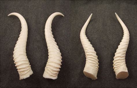 How Do Horns Form Geology At Nelson Grant Blog