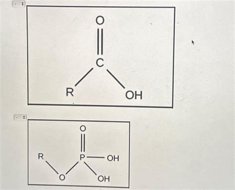 Solved A Carboxyl B Hydroxyl C Carbonyl D Phosphate