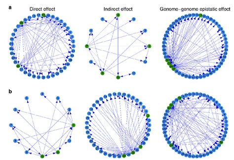 Various Kinds Of Genetic Effects And Related Qtl Networks Panel A