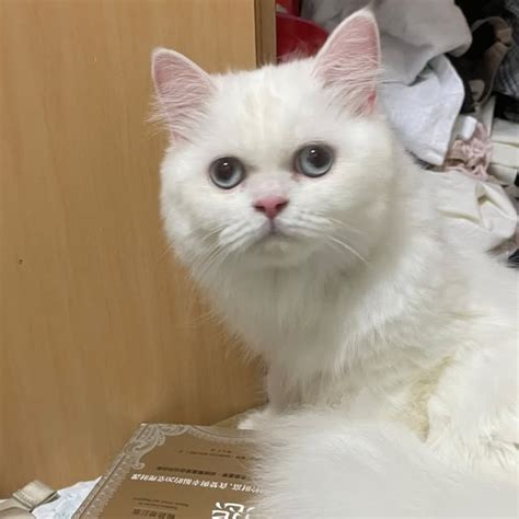 陳姿琍 Chen726 • Threads Say More