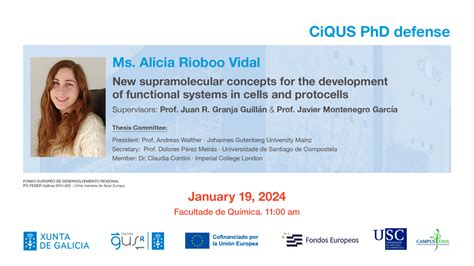 Phd Defense New Supramolecular Concepts For The Development Of Functional Systems In Cells And