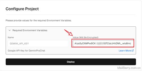 Gemini Api快速入门：四种使用方式教程 邮莓生活