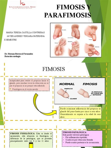 Fimosis Y Parafimosis Pdf Mamíferos Machos Sistema Reproductor