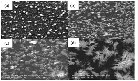 Microstructure Of The Scale Layer On The Cathode Surface At Different