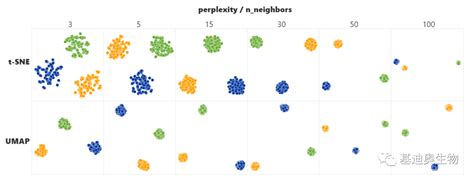 单细胞转录组tsne和umap可视化有什么区别？别再问啦，这就告诉你！数据距离高维