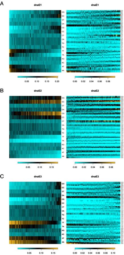 Dinucleotide And Codon Contents Of Prokaryotic Genomes We Used 300