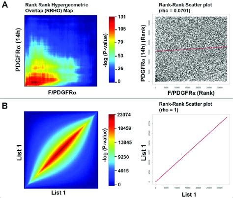 Pdgfra Wt And Fpdgfra Display Divergent Biologic Responses A Left Download Scientific