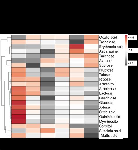 Heatmap Diagram Of The Primary Polar Metabolite Levels In The Untreated Download Scientific
