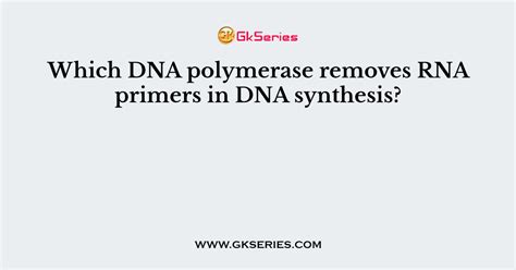 Which Dna Polymerase Removes Rna Primers In Dna Synthesis