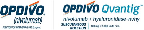 Subcutaneous Injection Immunotherapy Treatment Opdivo Qvantig™ Nivolumab Hyaluronidase Nvhy