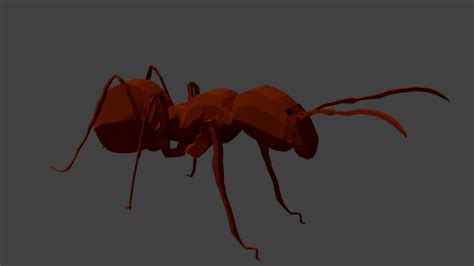 Ant 3d Model