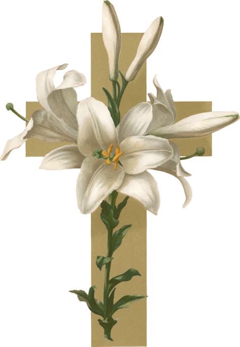 Lilies Death Symbol At Garrett Kirk Blog