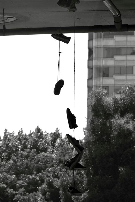 车辆动力学仿真开发 [4] 车辆二自由度 七自由度模型实现 知乎