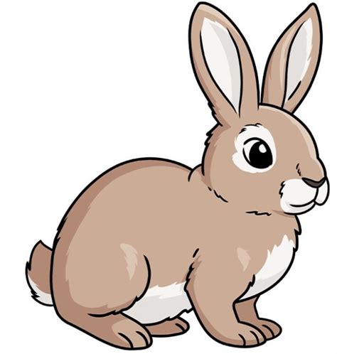 Tổng Hợp 20 Cách Vẽ Con Thỏ đơn Giản Cho Người Mới Bắt đầu