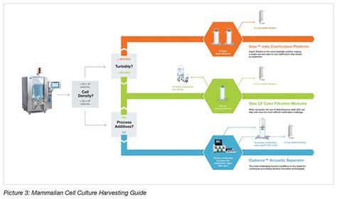 Choosing The Best Fit Cell Culture Harvesting Technology For Your