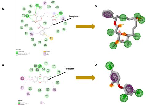 Ligand Residue Interaction Plot Of A Soraphen A At The Binding Site